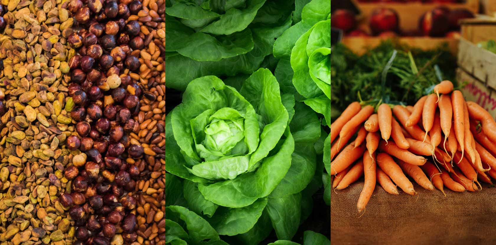 St George Food Distributors - Food Supplier Sydney - STGFD